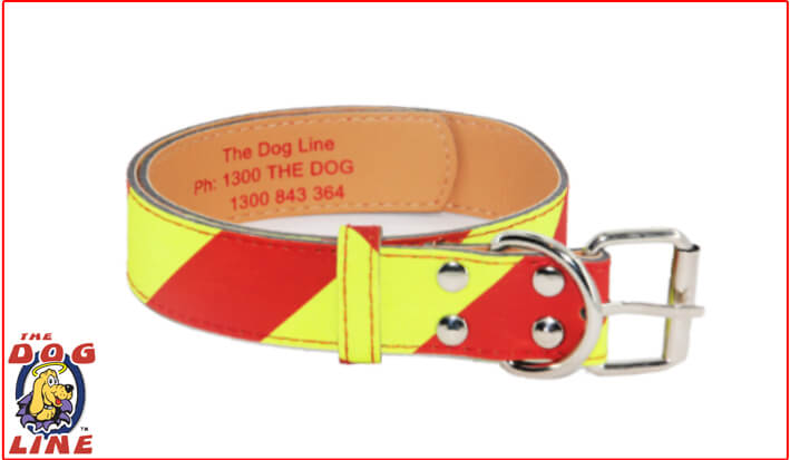 Required Dangerous Dog Collars and Signs plus Muzzles for Dogs in ...