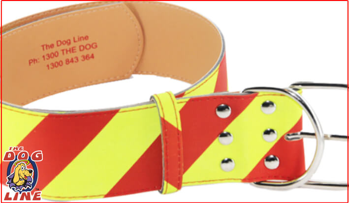 Required Dangerous Dog Collars and Signs plus Muzzles for Dogs in ...