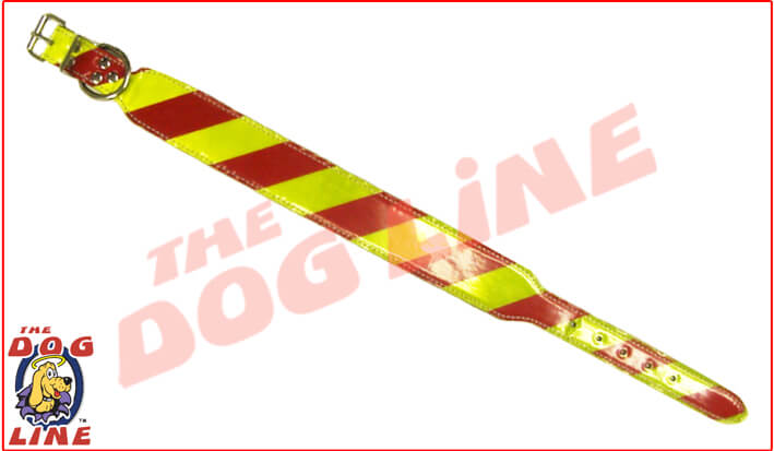 Dangerous Dog Act in Queensland - Collars and Signs