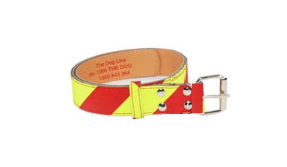 Required Dangerous Dog Collars and Signs Australia