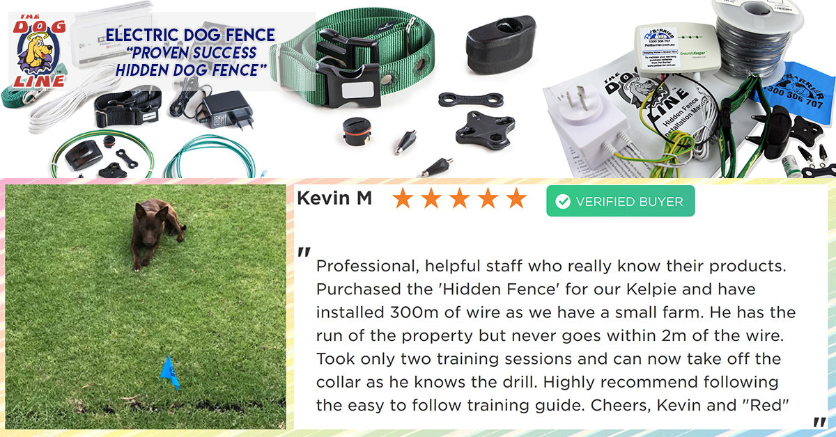 Best Hidden Dog Fence - Australia’s Safest by The Dog Line