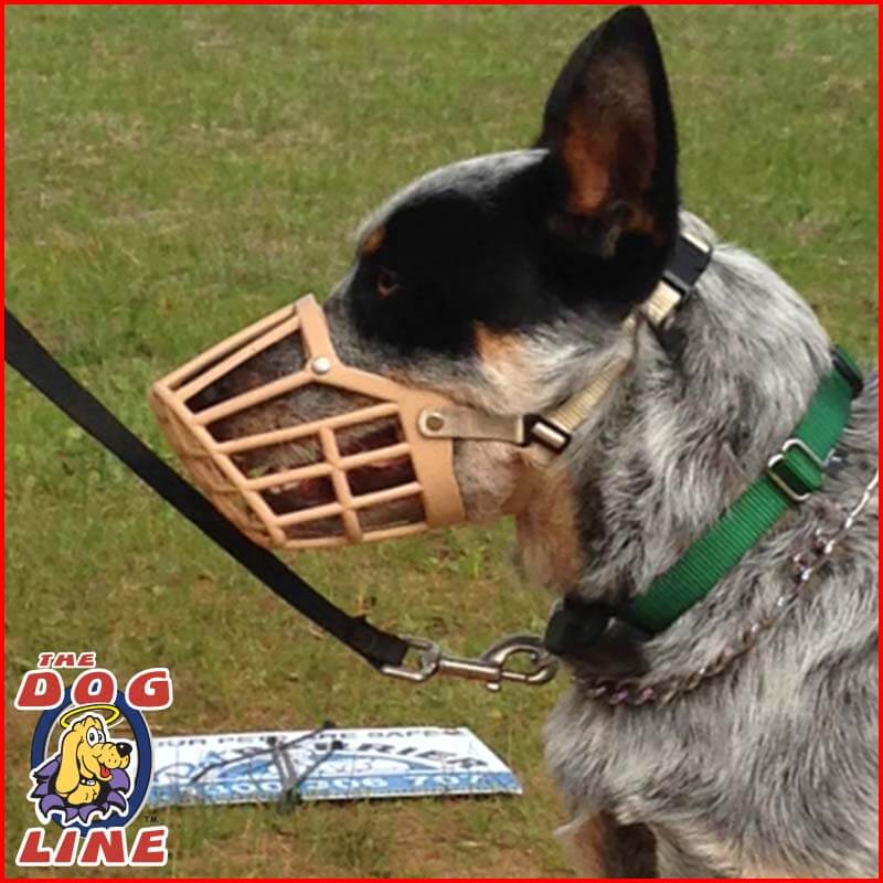 Dog Muzzle Plastic Cage | Plastic Dog Muzzle | Dog Muzzle