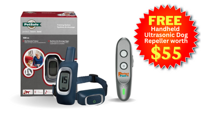 Big Leash Remote Electronic Dog Training Collar | Bigleash