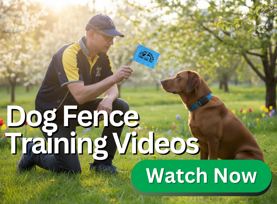 PROVEN Electric Dog Fences Australia - Free Quote | Step-by-Step Guide